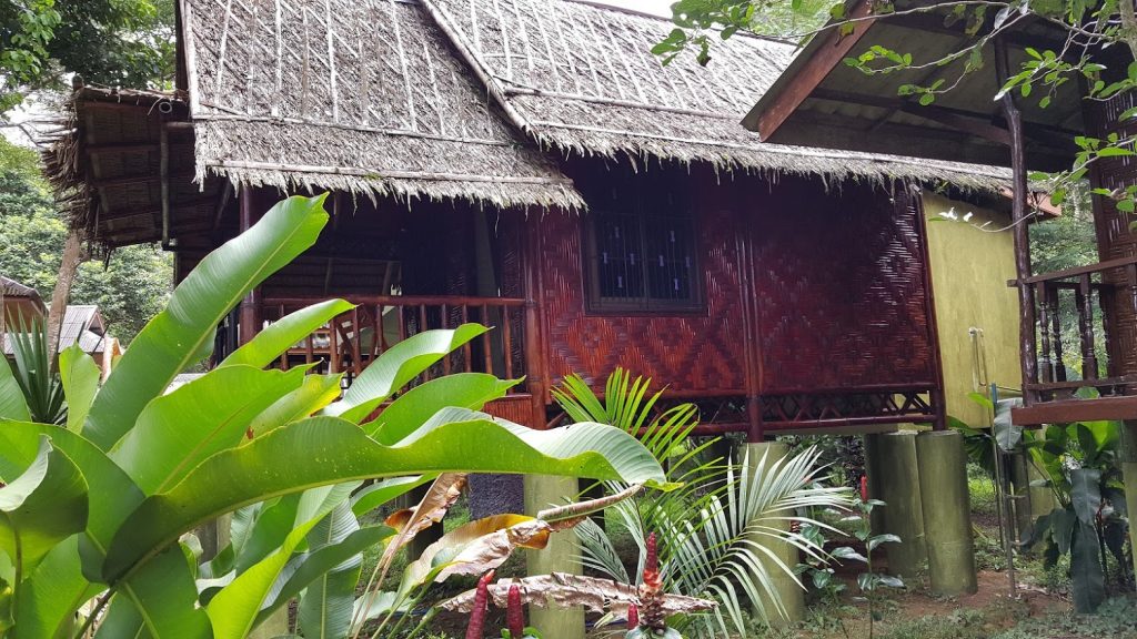Tours and Activities - Khao Sok Jungle Huts